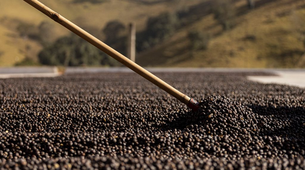 Protocolo Gerações - Cooxupé